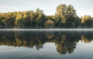 About Us - Sumika Polymers North America