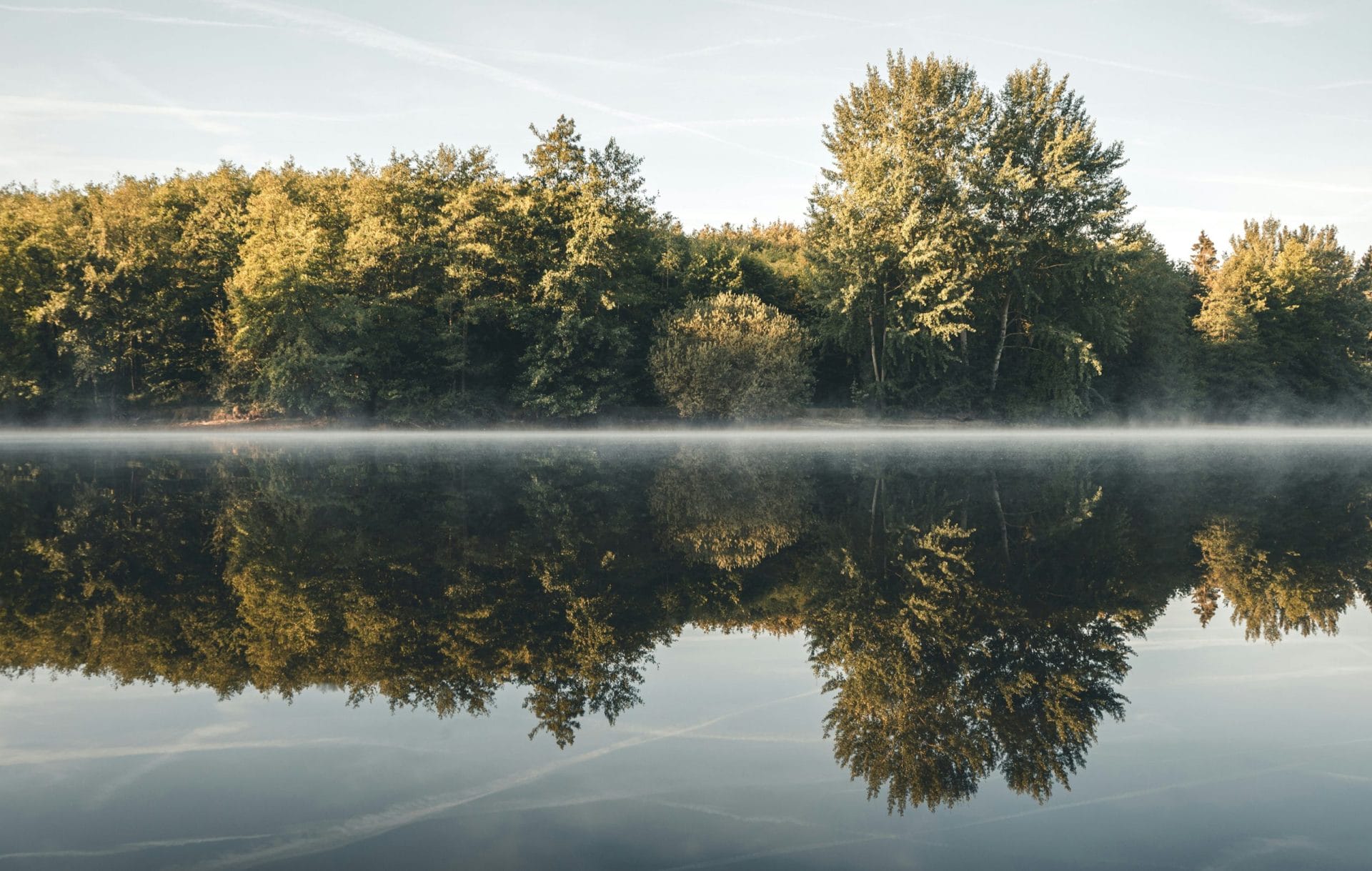 About Us - Sumika Polymers North America